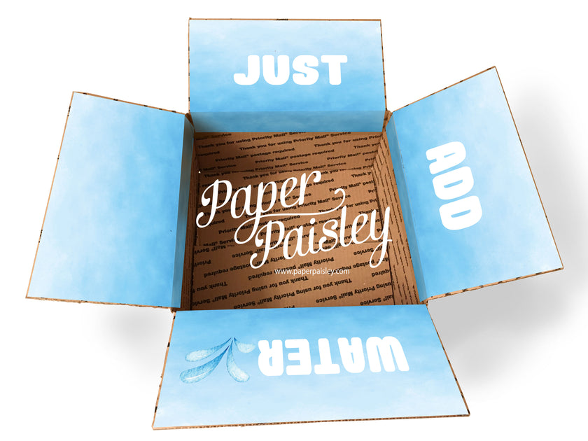 The Starving Student Care Package – PaperPaisley